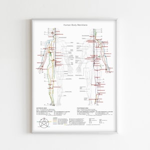 Acupuncture Pressure Points Chart - Etsy