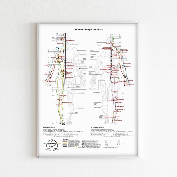 Meridian Chart - Etsy