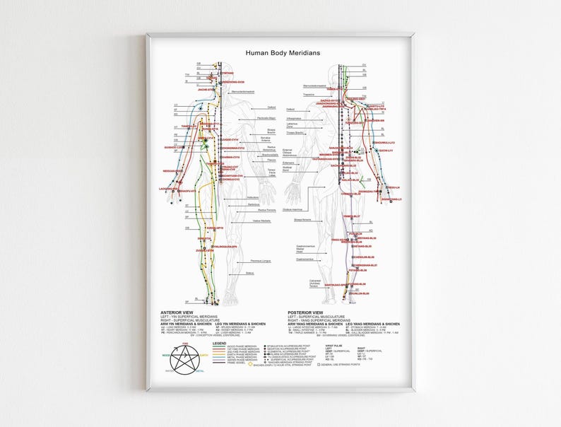 Human Body Meridians, Acupuncture Printable Poster Pressure Points Wall ...