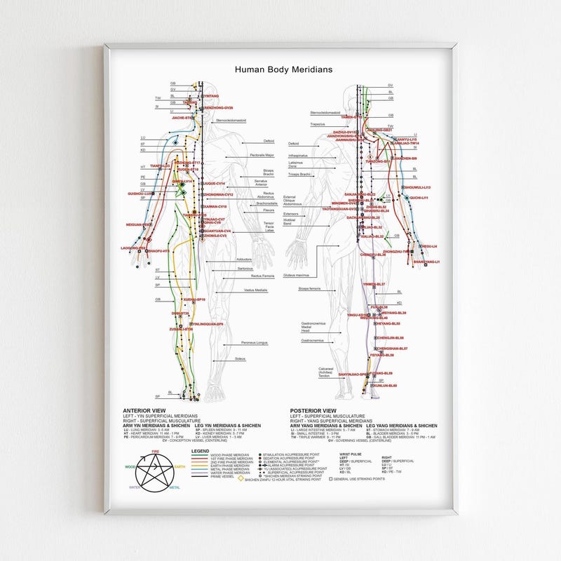 Acupressure Prints - Etsy UK