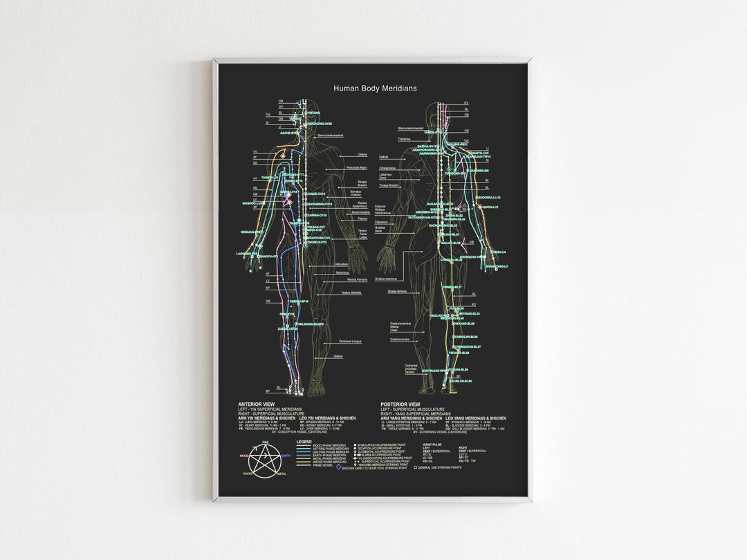 Human Body Meridians, Acupuncture Printable Poster, Lifelines Wall ...