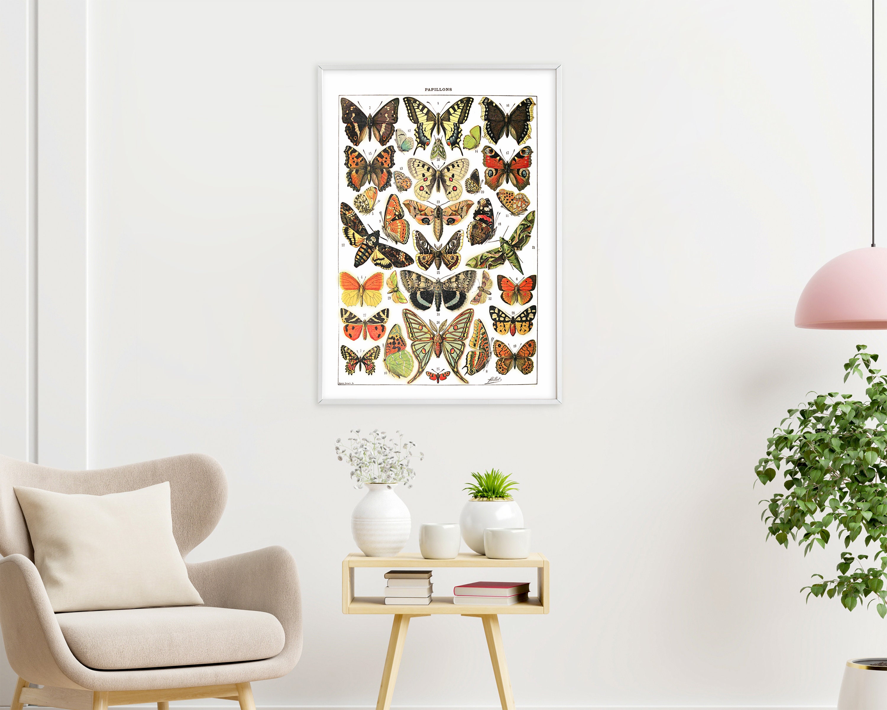 Butterfly Species Poster Ll. Printable Wall Art. Vintage Illustration ...