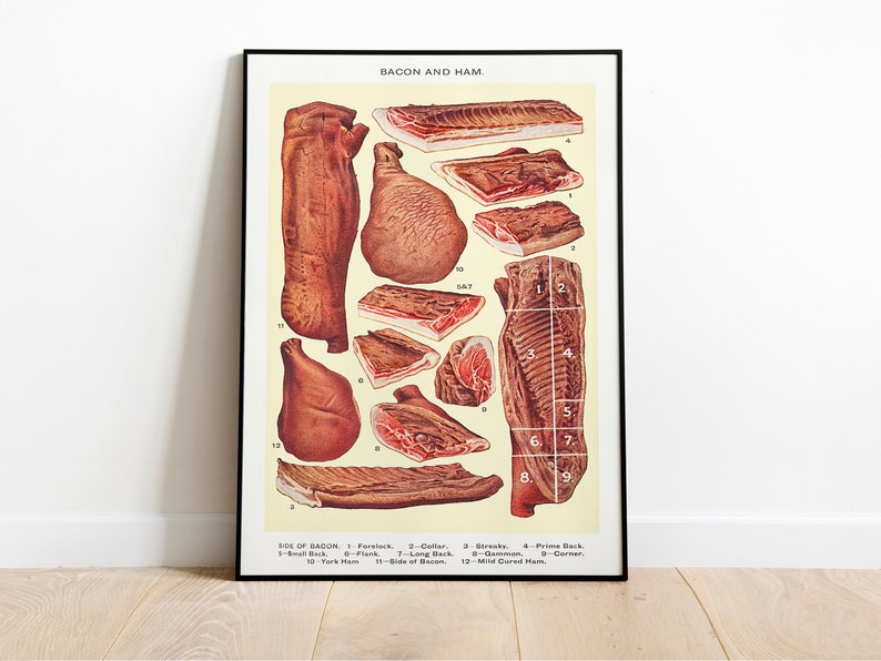 Meat Cuts Printable Poster for Kitchen Decor Vintage Illustration of ...