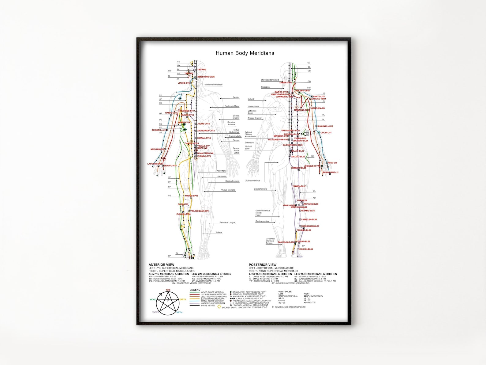 Human Body Meridians, Acupuncture Printable Poster Pressure Points Wall ...