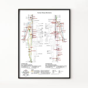 Human Body Meridians, Acupuncture Printable Poster Pressure Points Wall ...