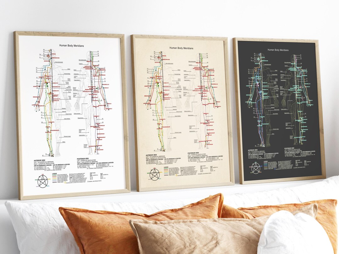 Human Body Meridians, Acupuncture Printable Posters Set of 3, Pressure ...
