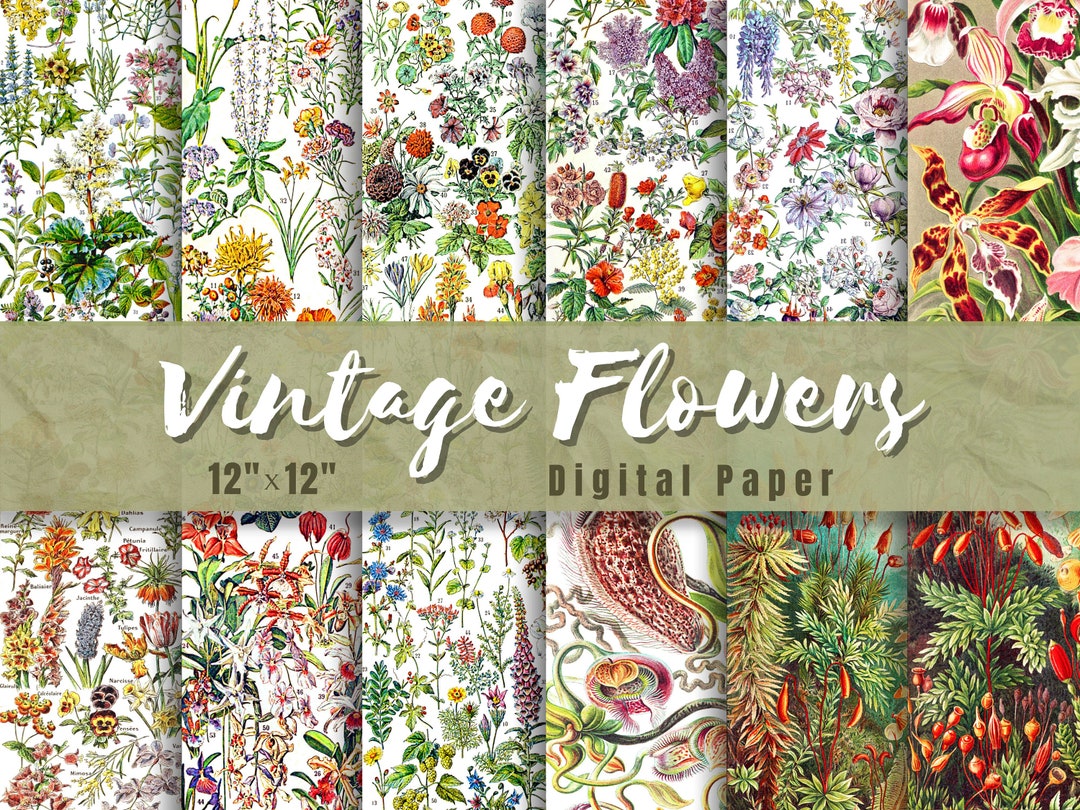 Vintage Flowers Digital Paper. 12 Designs Bundle. 12" X 12" | 300 DPI ...