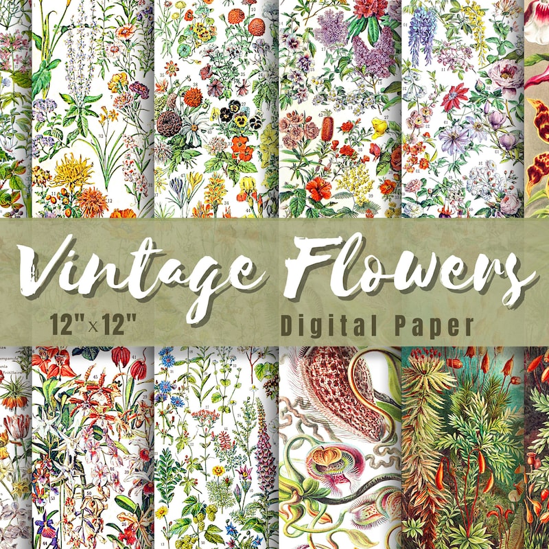 Flower Digital Paper - Etsy