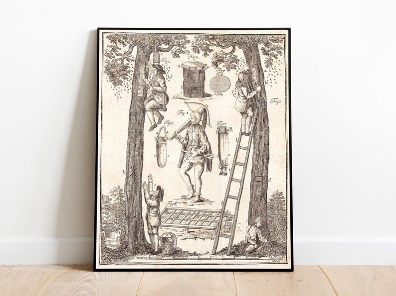 Vintage Beekeeping Techniques, Hand Drawn Vintage Illustration of ...