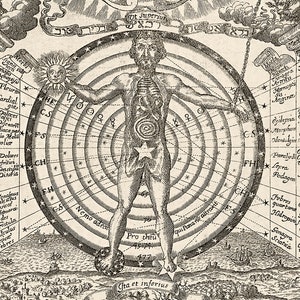 Hermetic Chart of Celestial Medicine, Printable Illustration ...