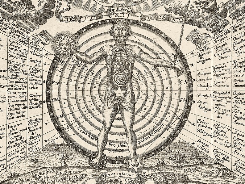 Celestial Medicine Chart, Human Body and the Stars, Astronomy Wisdom ...