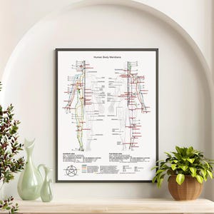 Human Body Meridians, Acupuncture Printable Poster Pressure Points Wall ...