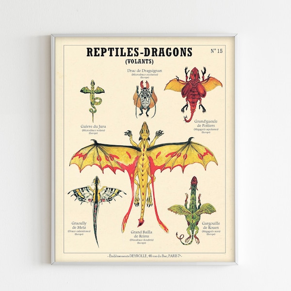 Types of Dragon Poster - Etsy