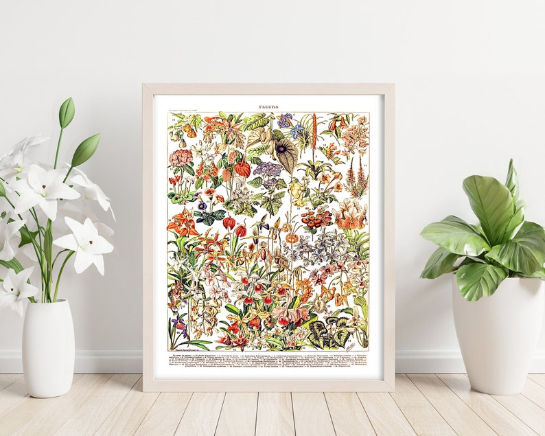 Flowers Species #4. Botanical Printable Wall Art. Vintage Illustration ...