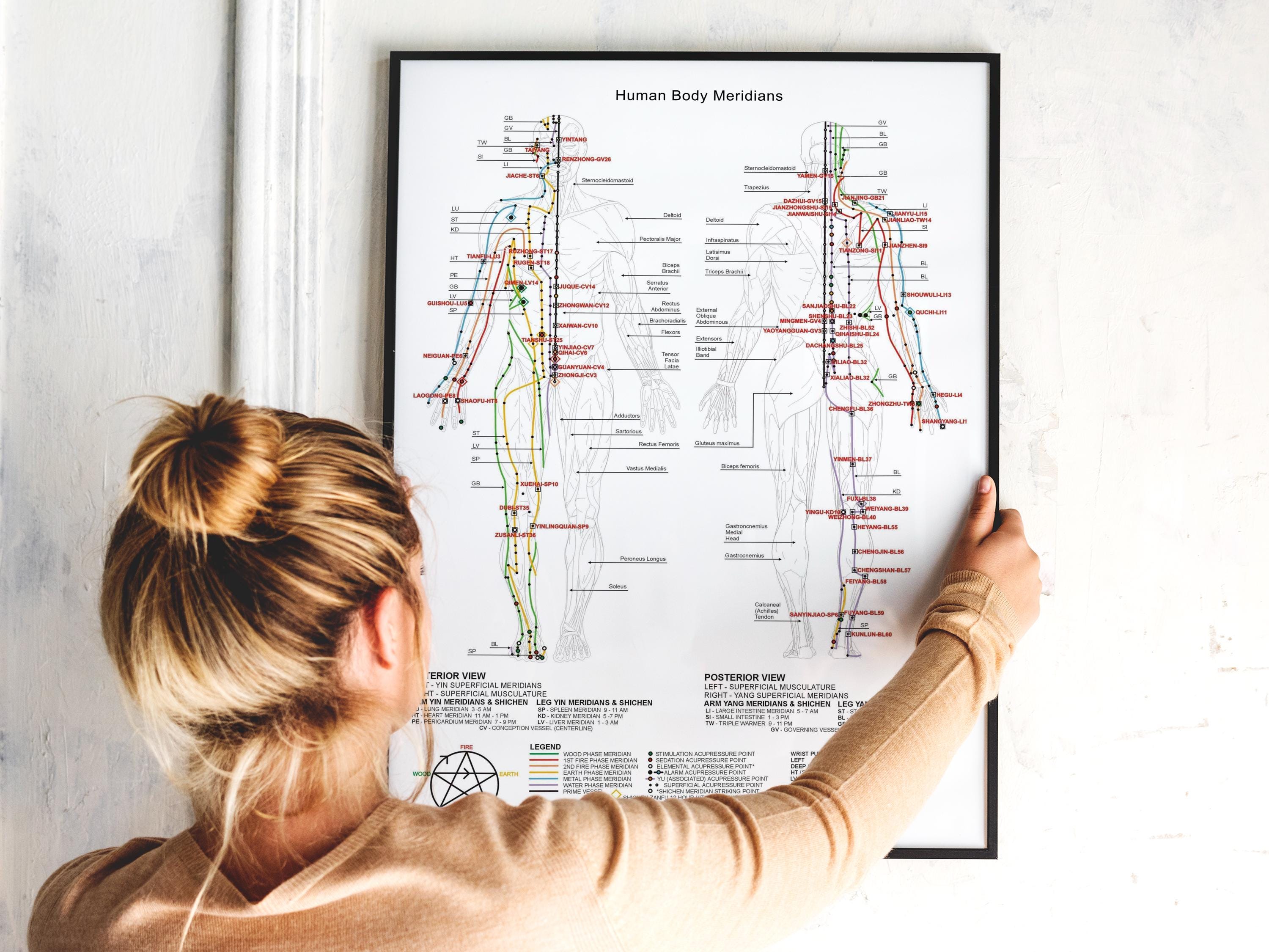 Human Body Meridians, Acupuncture Printable Poster Pressure Points Wall ...