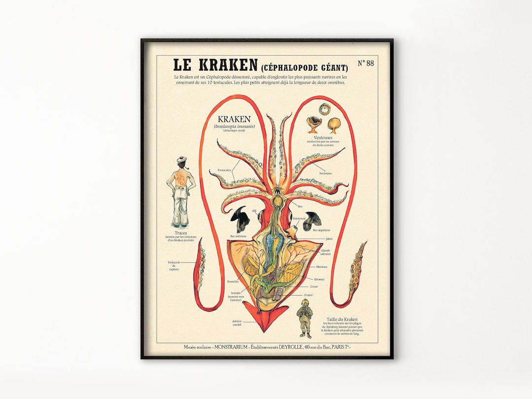 The Kraken Fantastic Creatures Anatomy Digital Print Monsters French ...