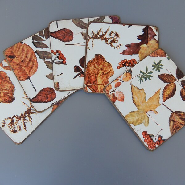 Laminated Coasters - Etsy