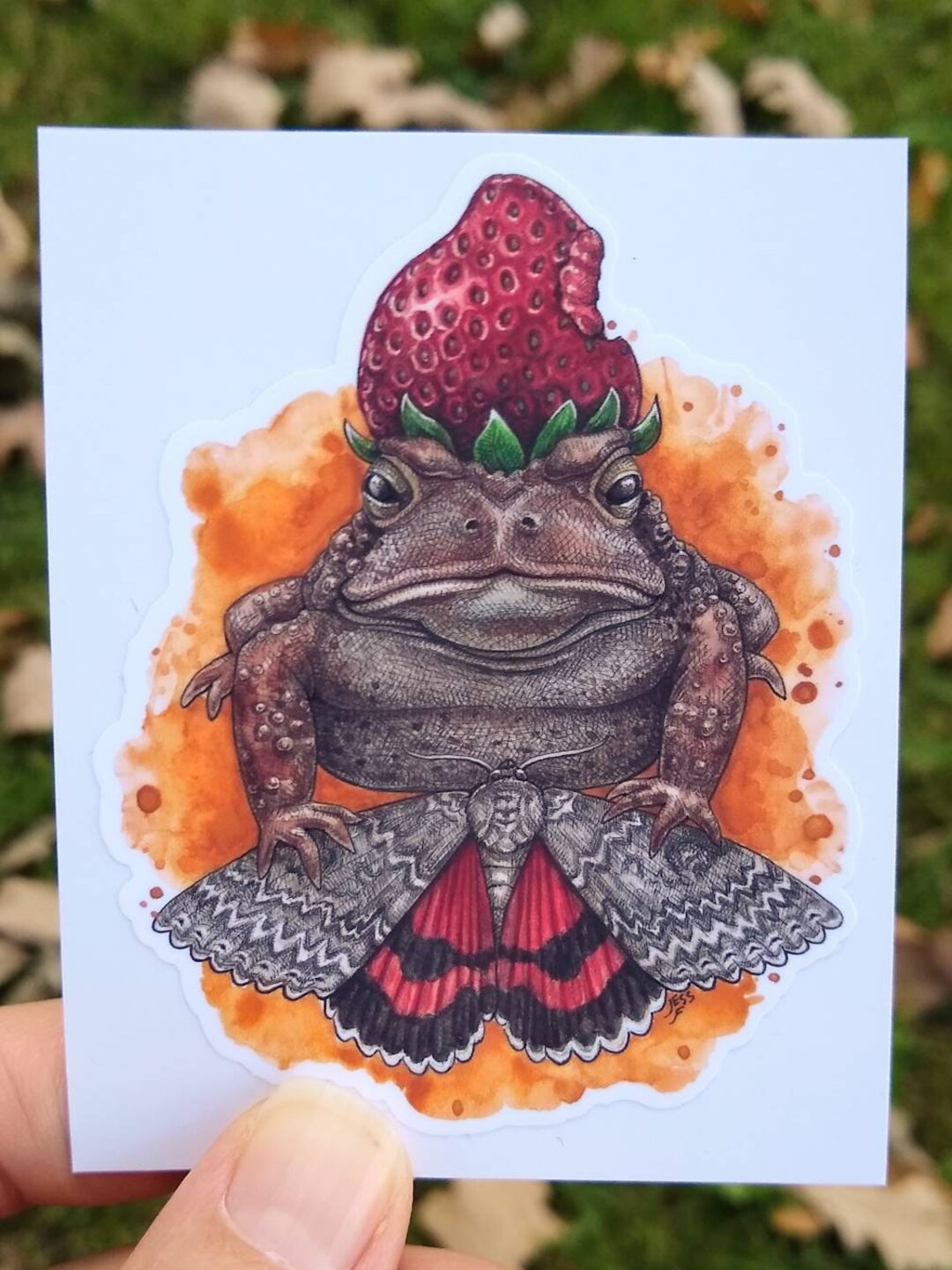 ONE Sweetheart Underwing Moth Strawberry Toad Gloss Sticker - Etsy