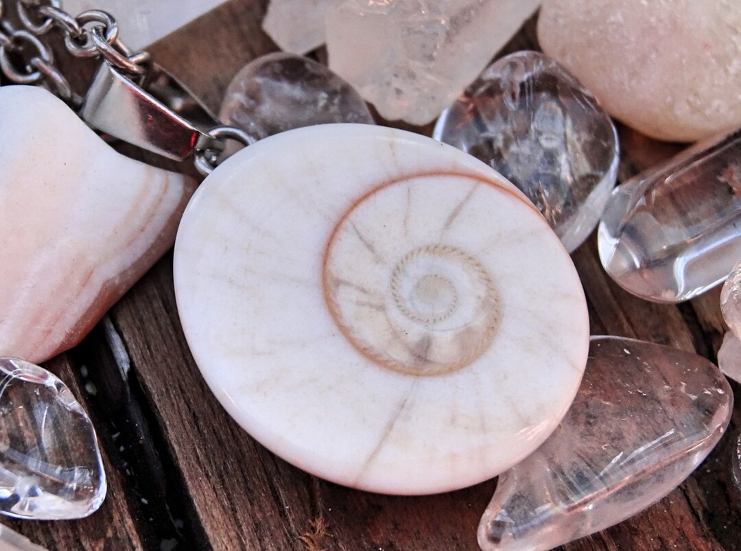 925 - Natural Shiva Shell Necklace, Sterling Silver Shiva Shell Natural ...