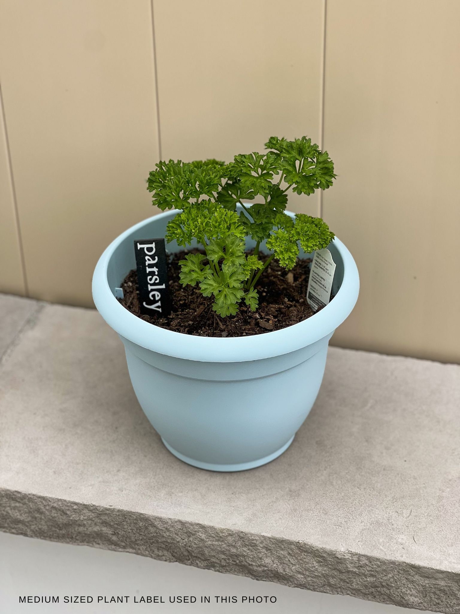 Veggie and Herb Slate Label, Garden Sign, Plant Identification Markers ...