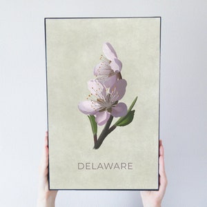 Delaware Peach Blossom State Flower Art Poster Modern Home Decor 11x17 ...