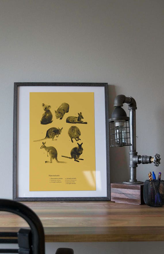 Diprotodontia marsupials Species Retro Travel Art Poster - Etsy