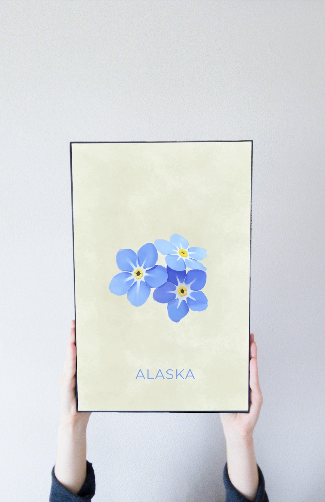 Alaska State Flower Forget Me Not Art Poster Modern Home Decor 11x17 - Etsy