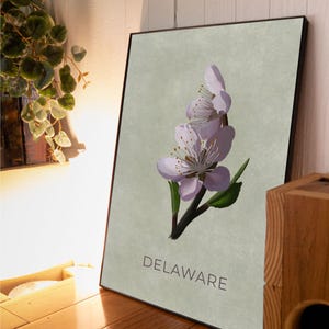 Delaware Peach Blossom State Flower Art Poster Modern Home Decor 11x17 ...