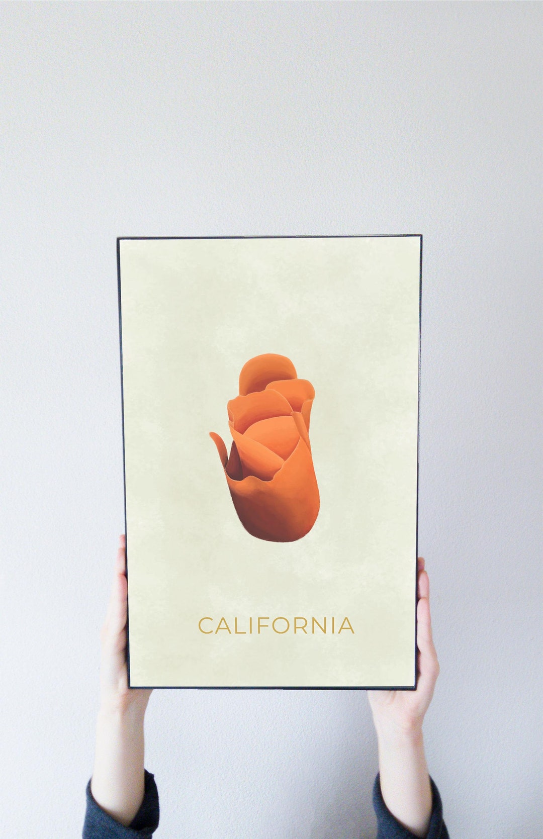California State Flower Poppy Art Poster Modern Home Decor 11x17 - Etsy
