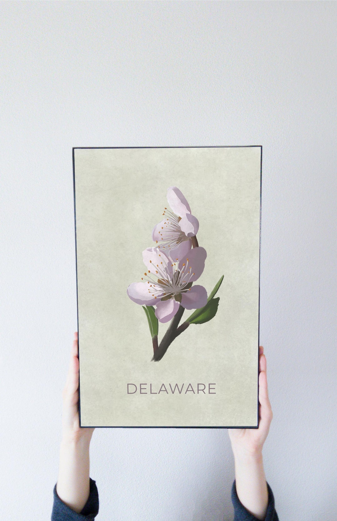 Delaware Peach Blossom State Flower Art Poster Modern Home Decor 11x17 ...