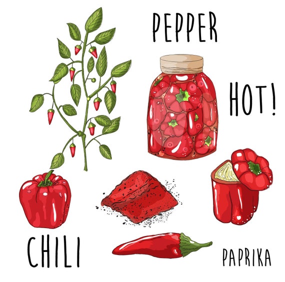 Hand Drawn Red Peppers. Printable Illustration. Usable for | Etsy