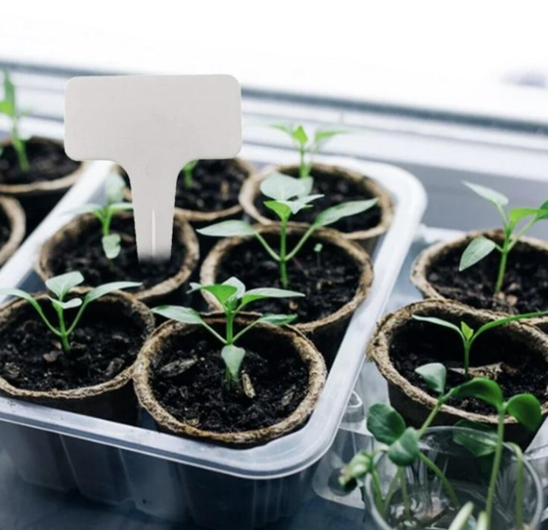 Digital Garden Guide + Journal - Etsy