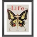 Life Magazine Flapper Print: Butterfly Lady Art Poster - Etsy