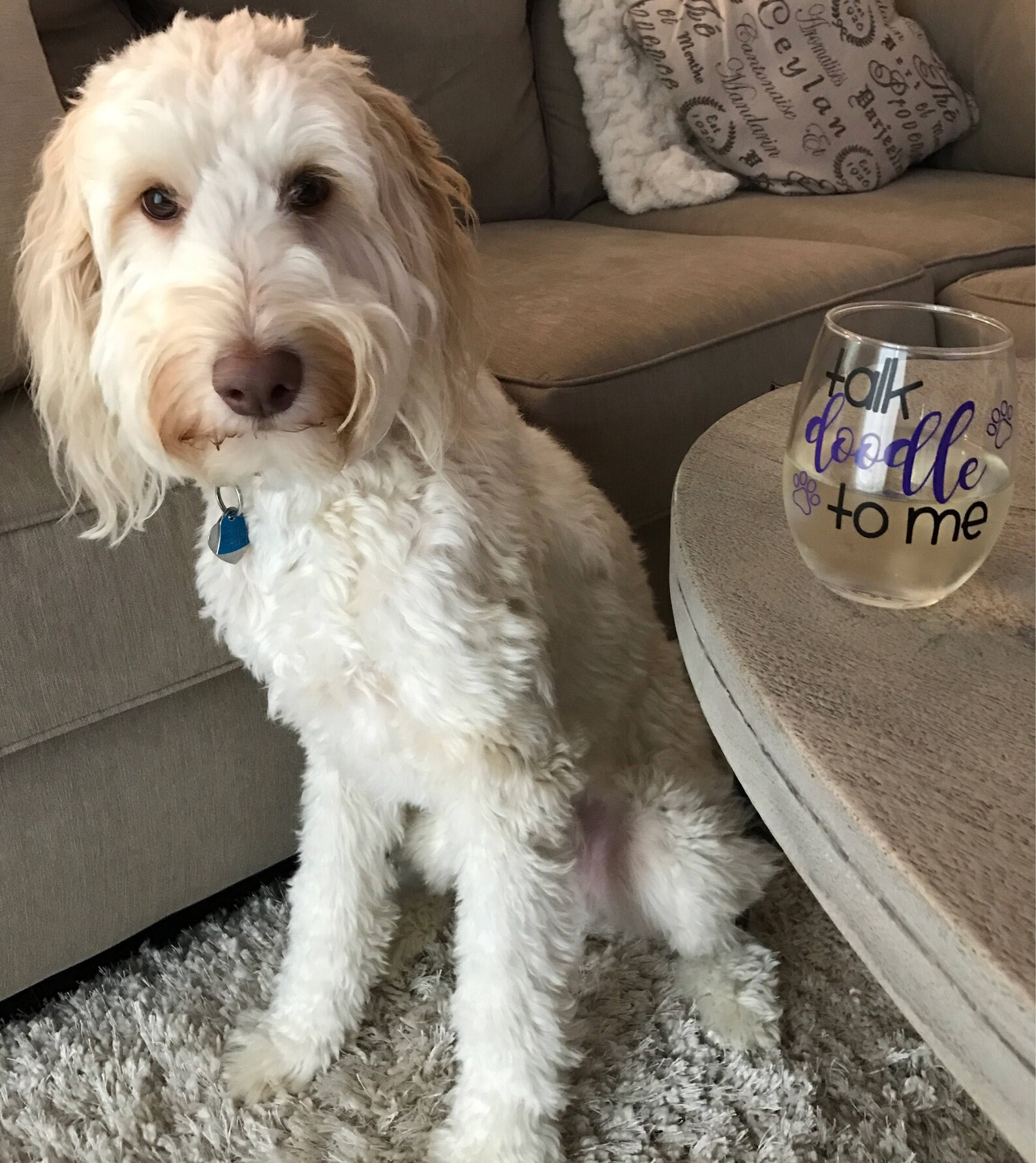 Goldendoodle/labradoodle/doodle Dog Wine Glass/mug: Talk Doodle to Me ...