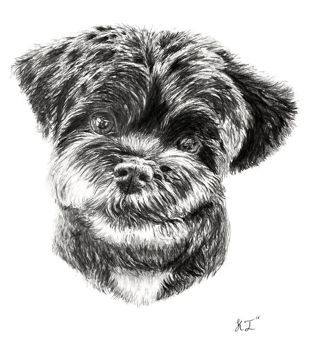 A3 Pet Portrait Pencil Drawing, Detailed Hand Drawn Dog Portrait Pet ...