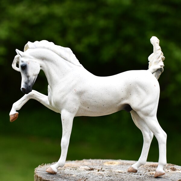 Model Horse - Etsy