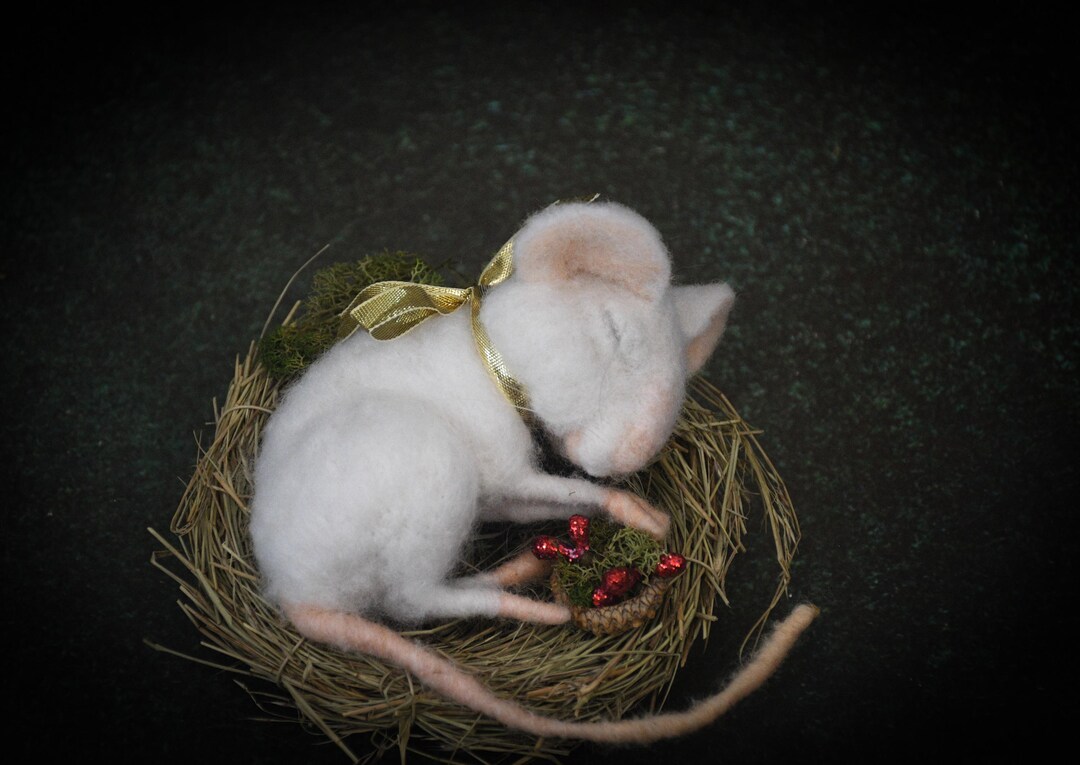 Needle Felted Sleeping White Mouse in a Nest - Wool Sculpture - Etsy