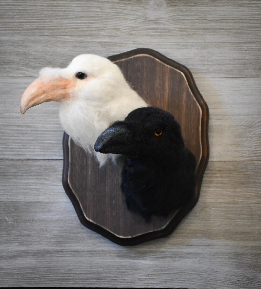 Needle Felted White & Black Raven - Faux Taxidermy - Halloween Wall Art ...