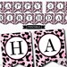 Pink Leopard Print Cheetah Print Birthday Party Decoration - Etsy