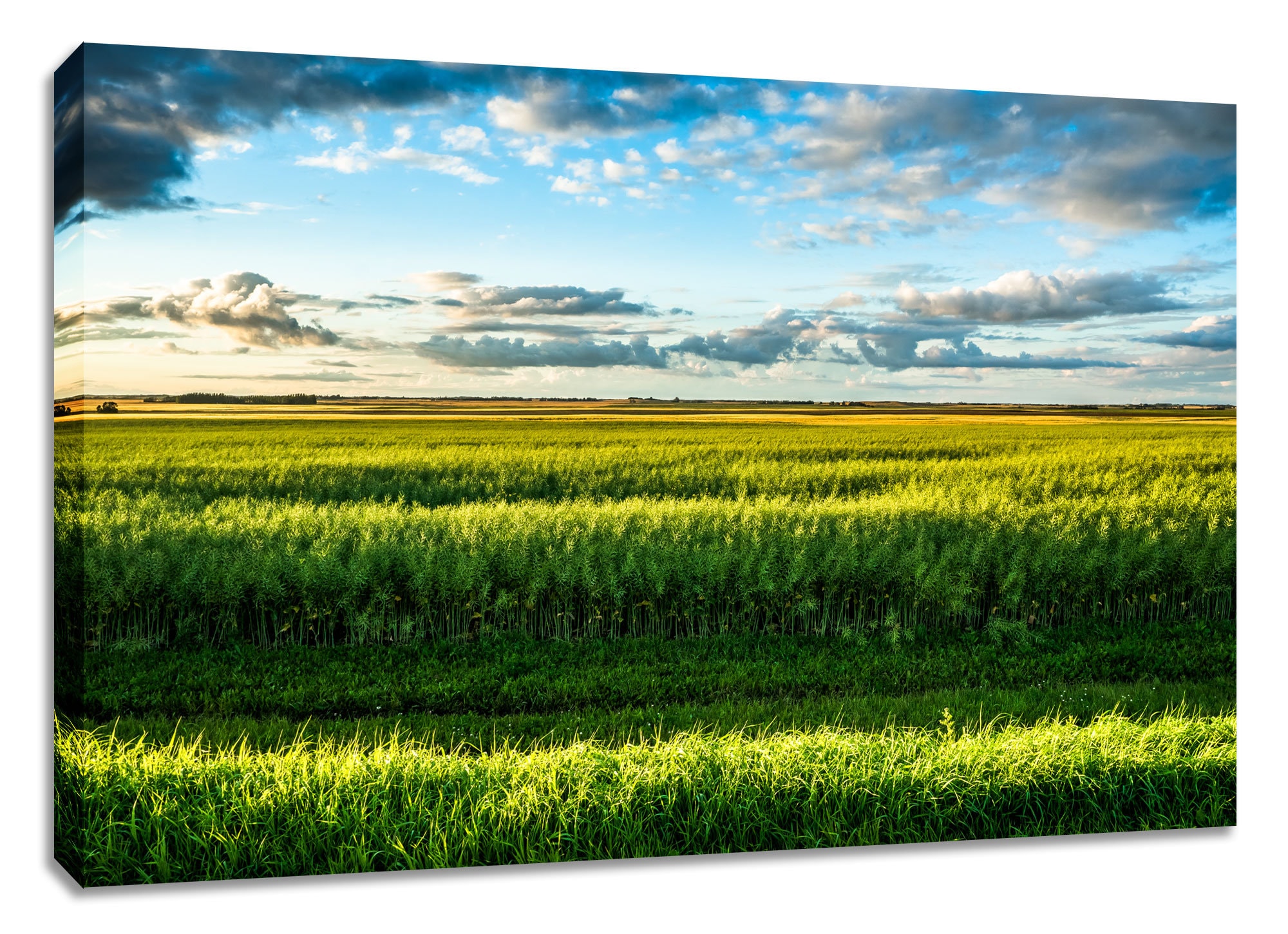 10x12 Canvas Fine Art - Etsy