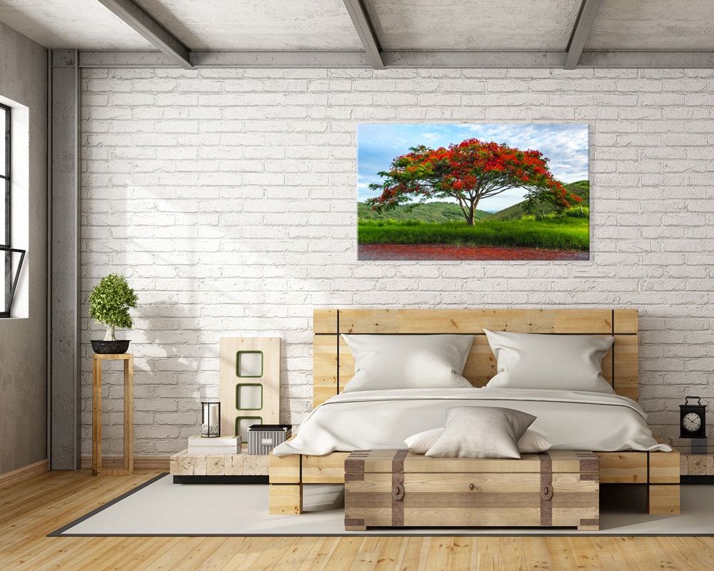 Royal Poinciana Photo. Flamboyant Tree Print. Living Room Art ...