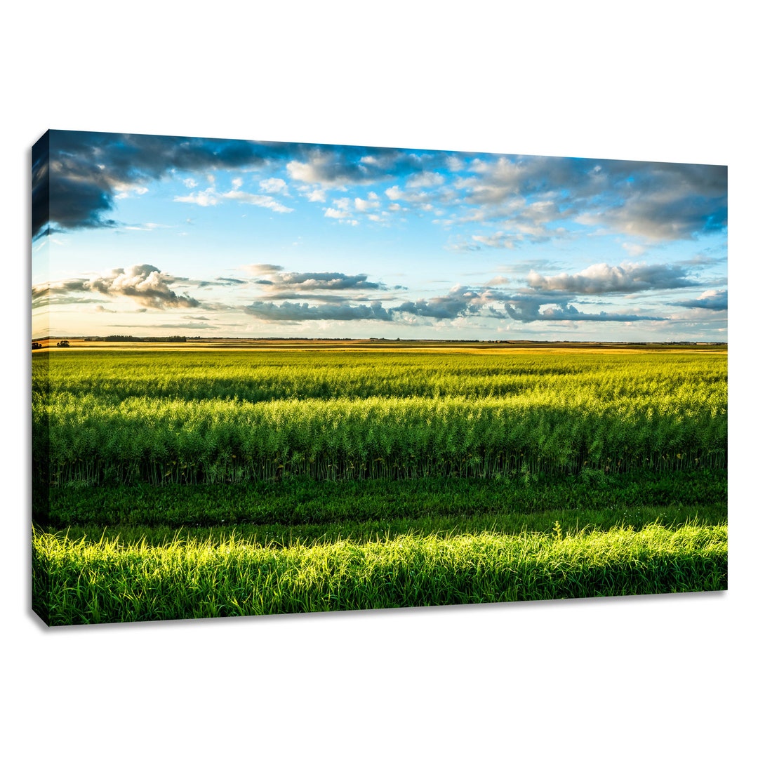 Prairie Canvas Wall Art Wide. Green Pasture Countryside Vista ...