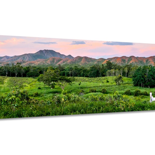 40 X 50 Inch Canvas - Etsy