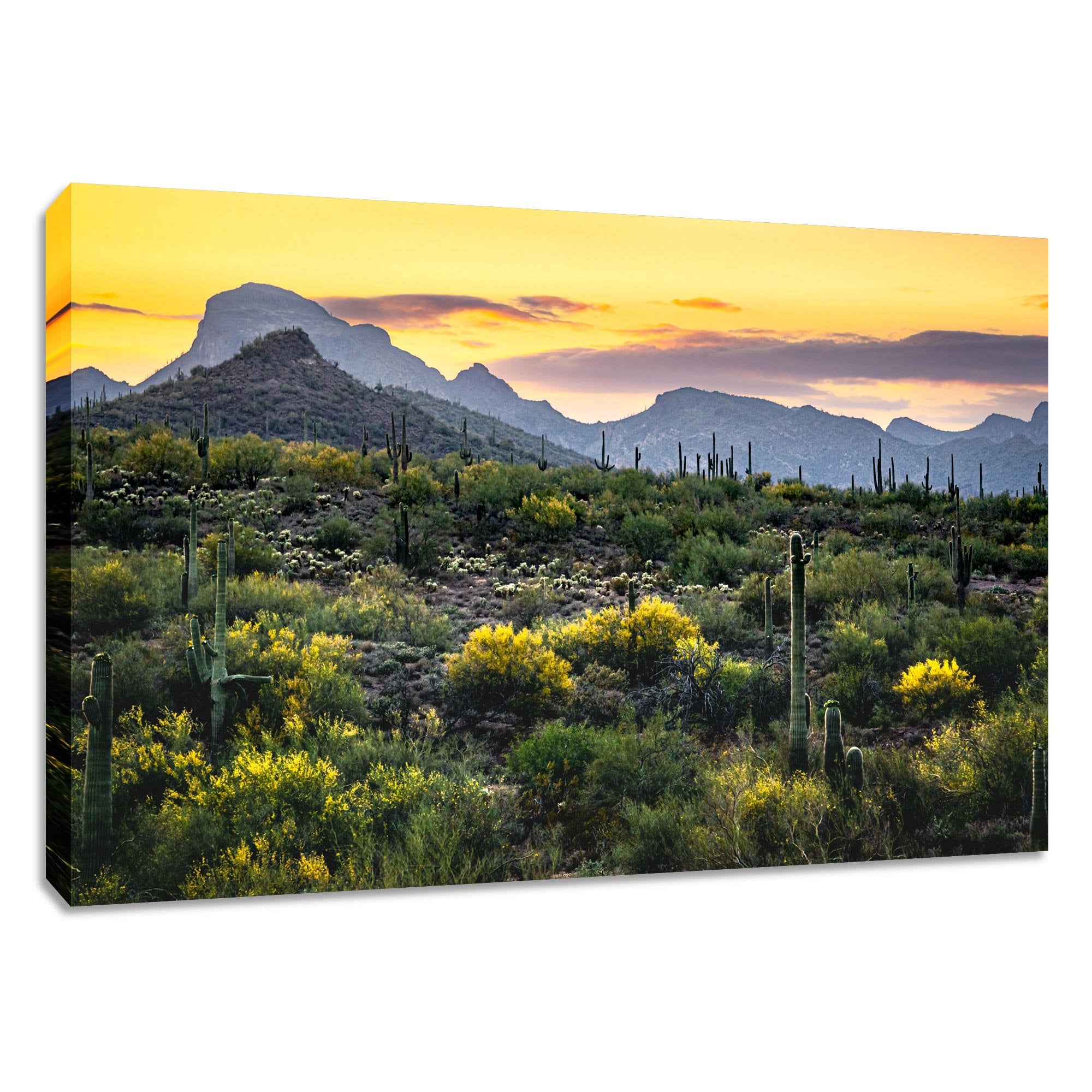 Arizona Landscape Photo Print. Saguaro Cactus Big Wide Wall Art ...