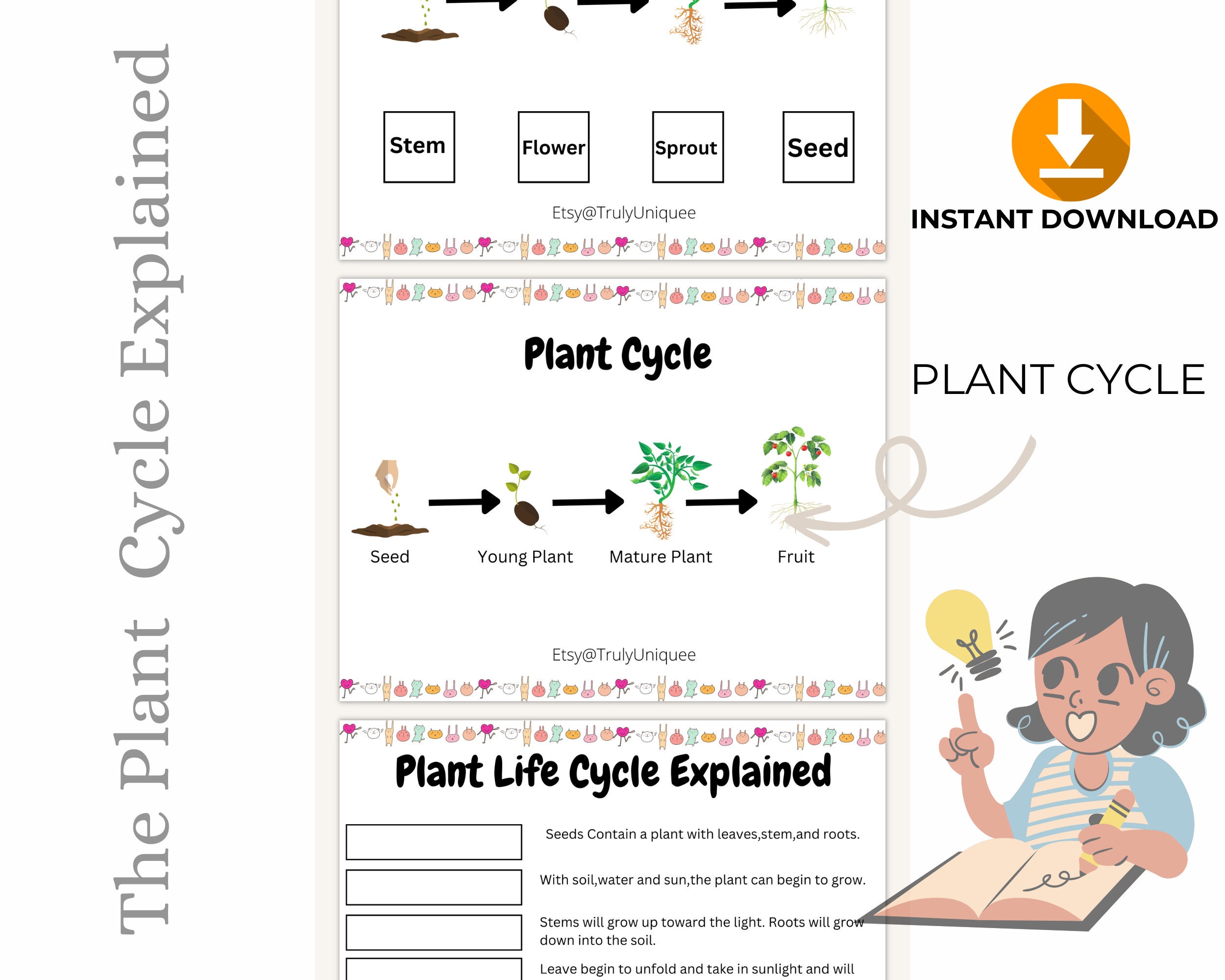 Plant Life Cycle Learning Activities Sheet First Grade Practice Page ...