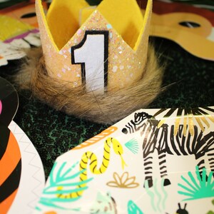 257 Piece Wild One Safari Party Box \\ Wild One First Birthday \\ Wild ...