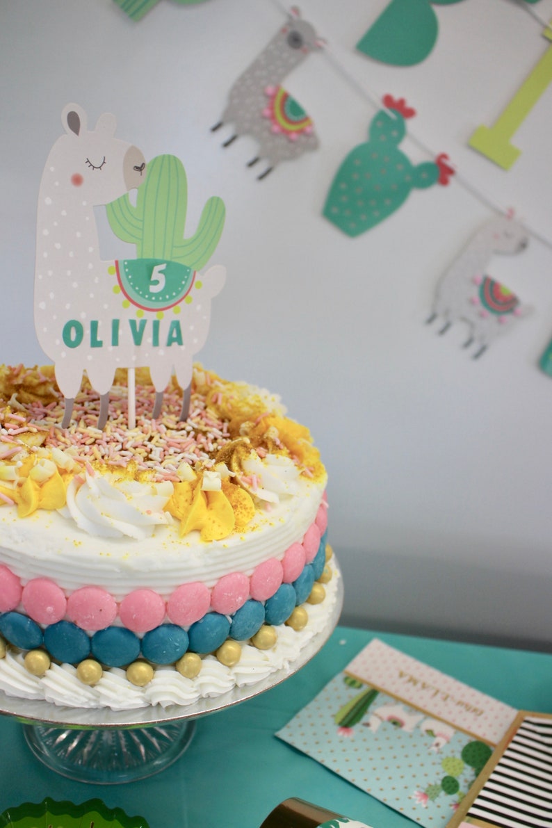 216 or 240 Piece Llama & Cactus Birthday Party Box \\ Llama and Cactus ...