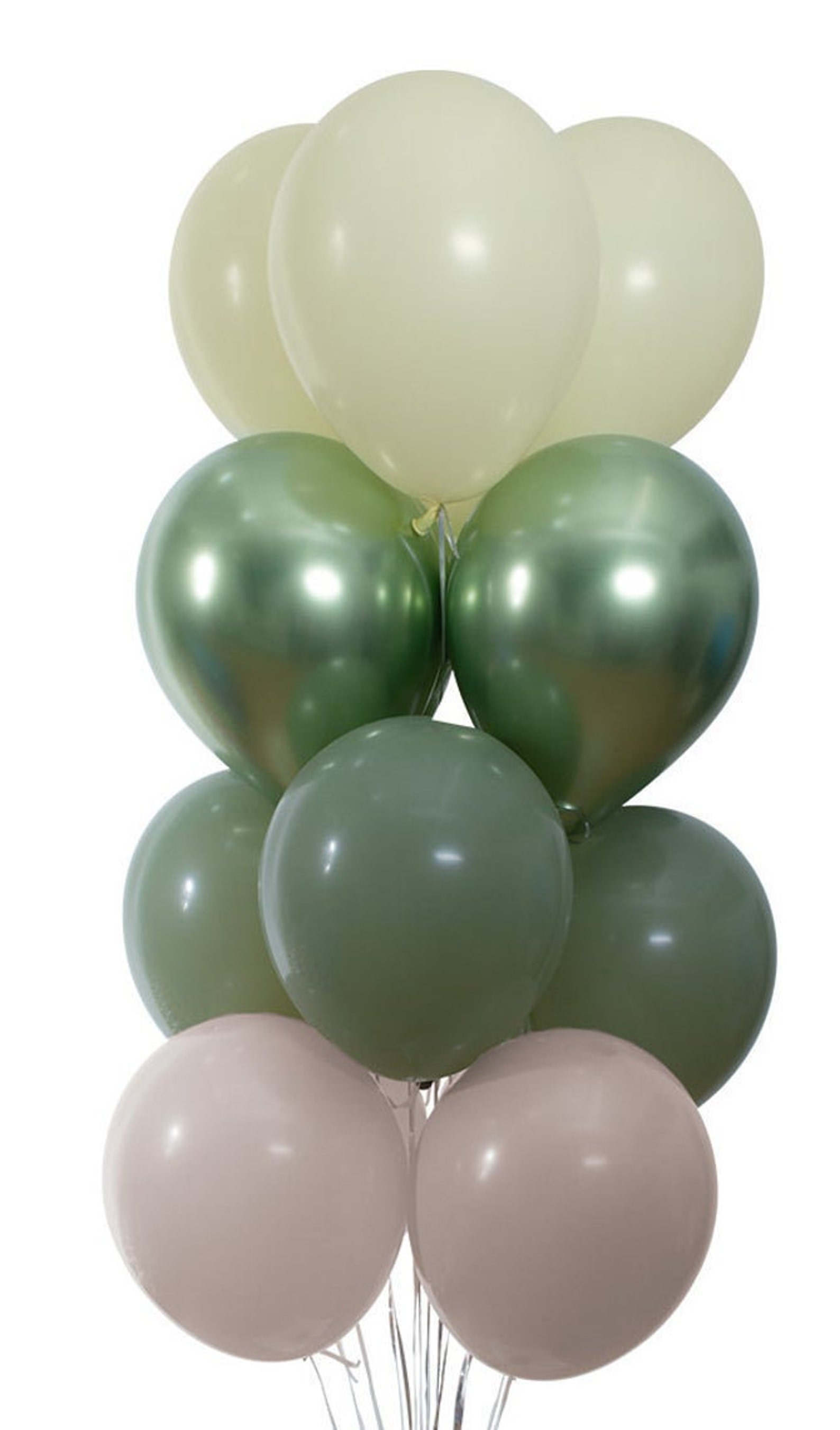 Jumbo Sage Green Eucalyptus Balloons | 5"-24" Eucalyptus White Sand ...