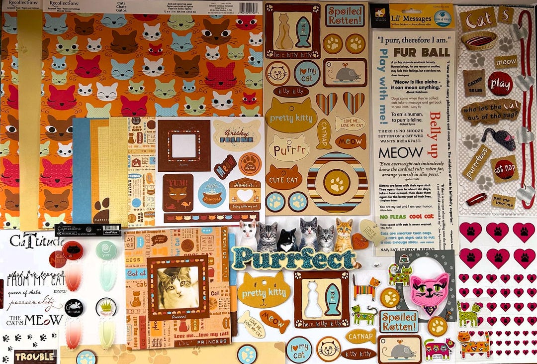 Kitty Cat Scrapbook Supply Lot: Papers, Stickers, Embellishments (180 ...
