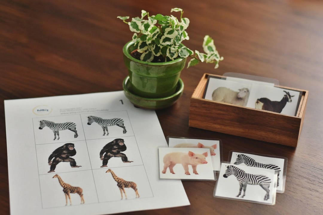 Montessori Matching Cards Blueprints - Etsy